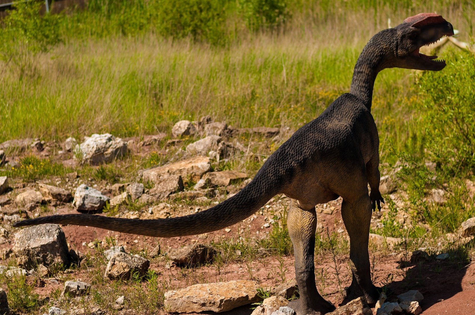 Penasaran dengan Kehidupan Zaman Dinosaurus? Simak Penjelasan Berikut ...